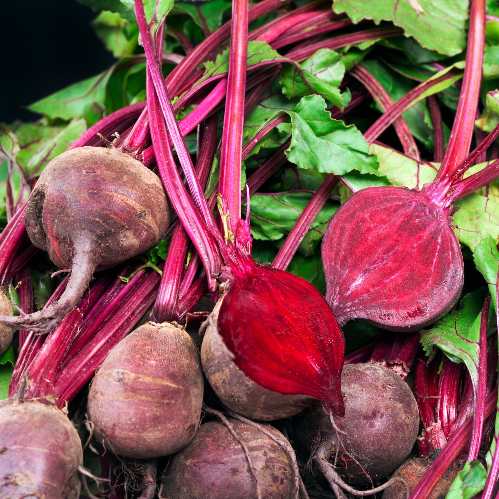 Beetroot Extract – Mythos Skincare